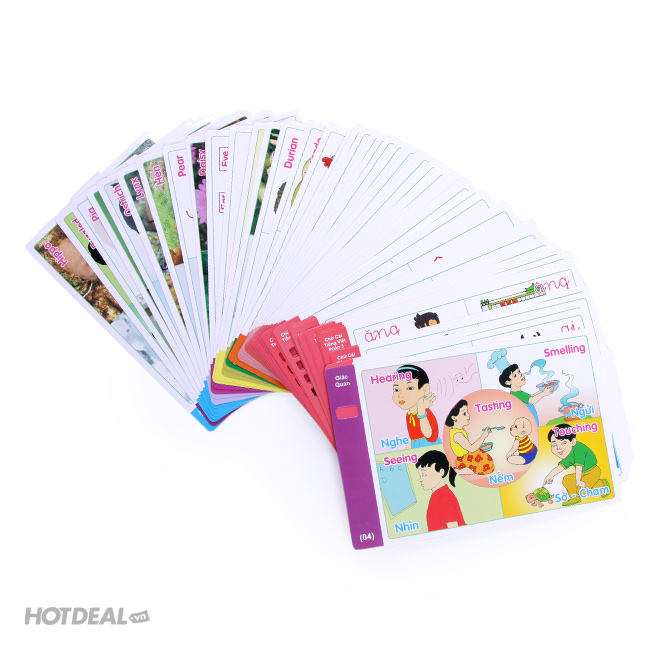 Bộ Flashcard Tiếng Anh EFCA 158 Tờ